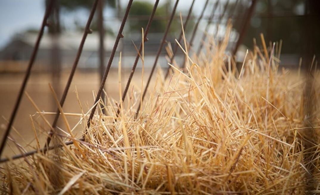 Don't forget the roughage