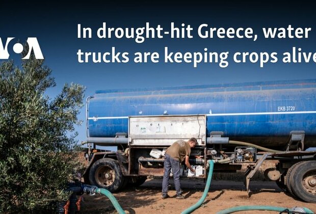 In drought-hit Greece, water trucks are keeping crops alive
