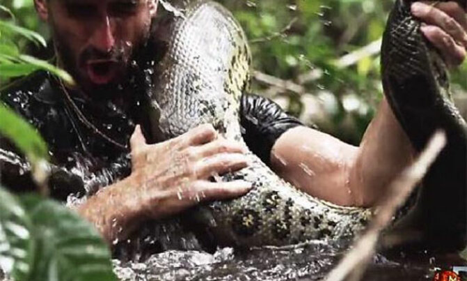 Snake 'Eats' Man, Sets Off Internet Tizzy