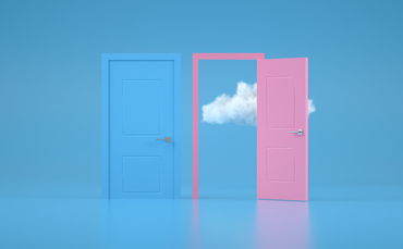 Market evolution: The protection portal paradox