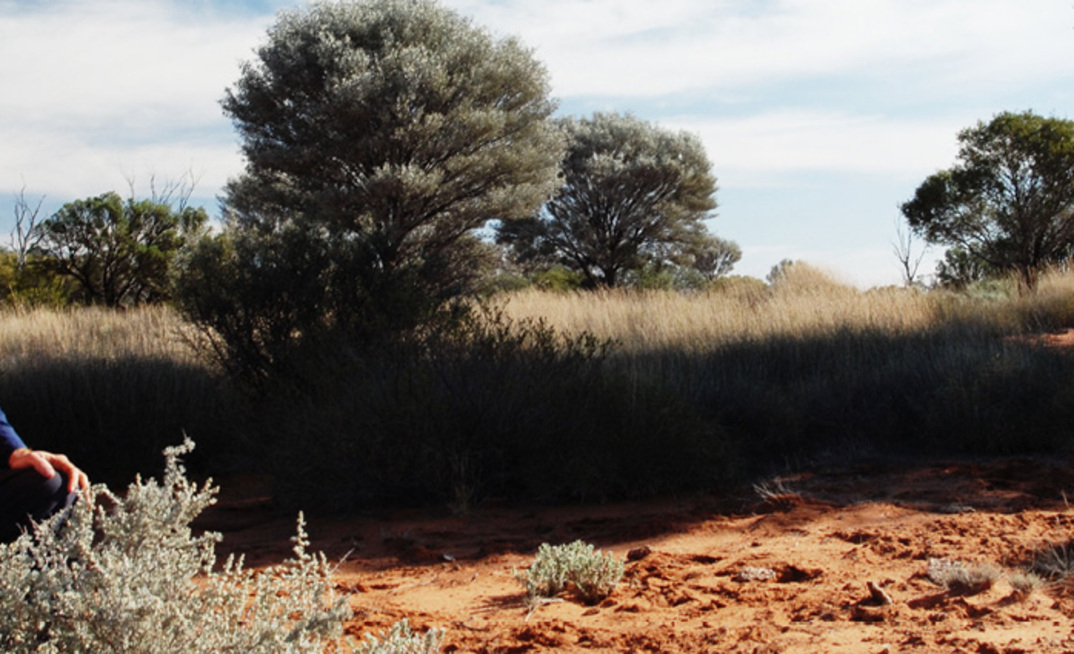 Wiluna gets environmental approval