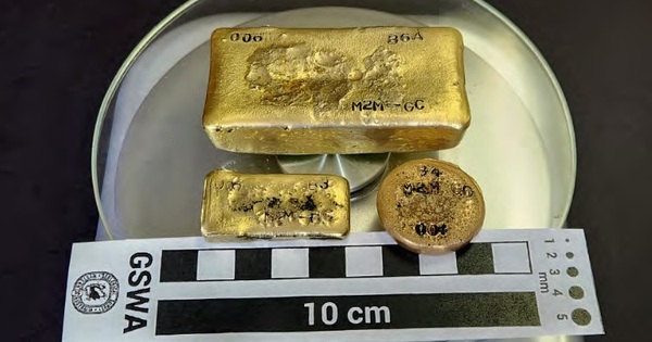 Mining Briefs: Lion Selection, Encounter and more