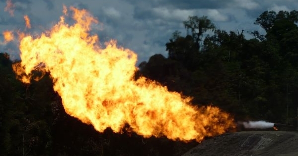 InterOil firms up Antelope-2 condensate flow