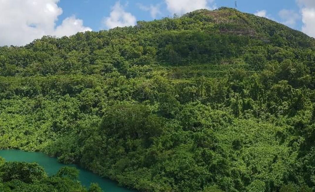 Kingston's Misima now over 3Moz