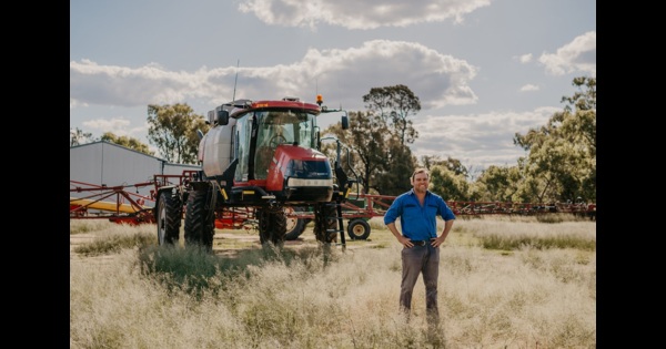 What's the best PWM approach for summer spraying?