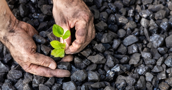 World Environment Day - but where does mining stand on decarbonisation ...