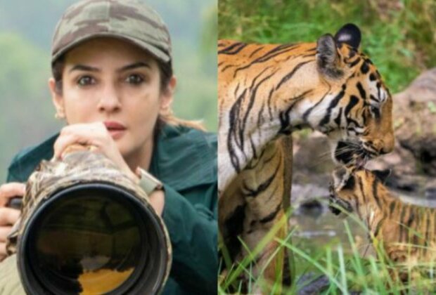 Probe launched after Raveena Tandon's tiger video goes viral