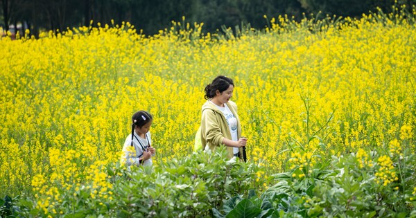 #CHINA-QINGMING FESTIVAL-HOLIDAY (CN)