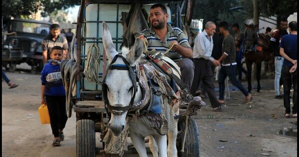 Hamas-Israel deadly conflict sends Gazans back to primitive life