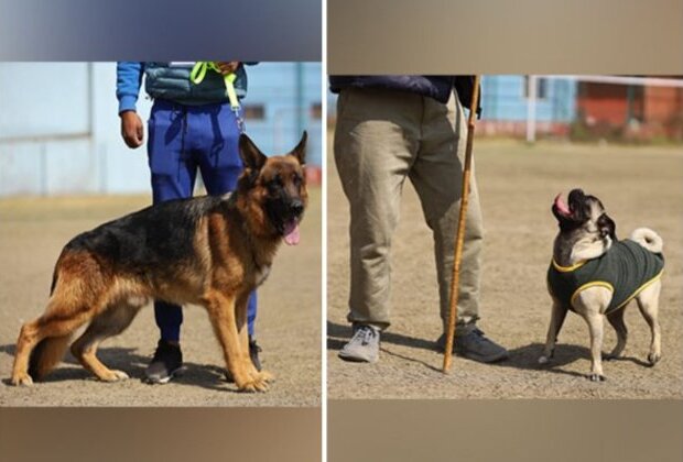 Nepal: Grand dog show in Lalitpur draws range of breeds