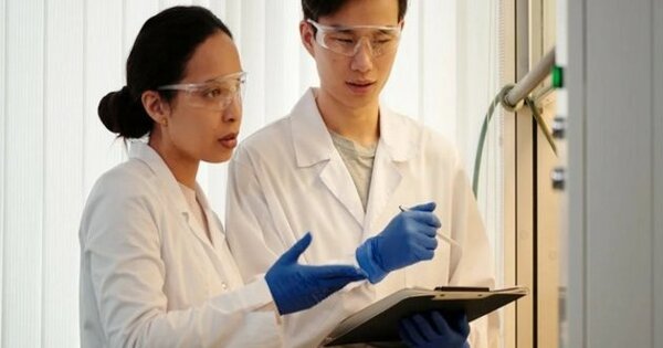 Electronic 'soil' enhances crop growth: Research