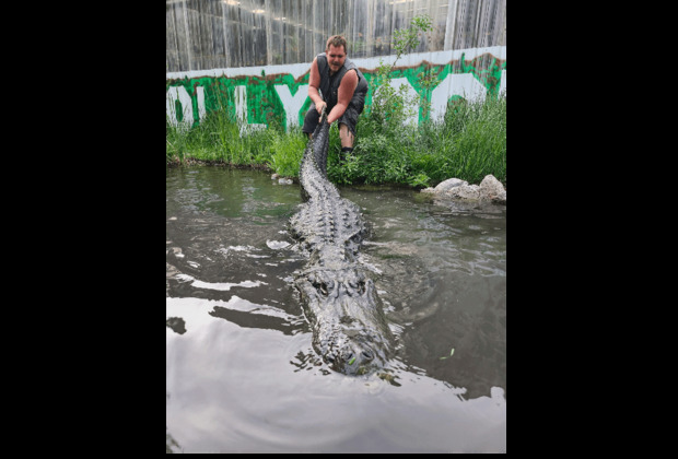 Alligator from Happy Gilmore, other films, TV shows dies of old age ...