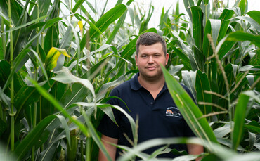 Partner insight: Earliness of maturity key for marginal maize grower ...