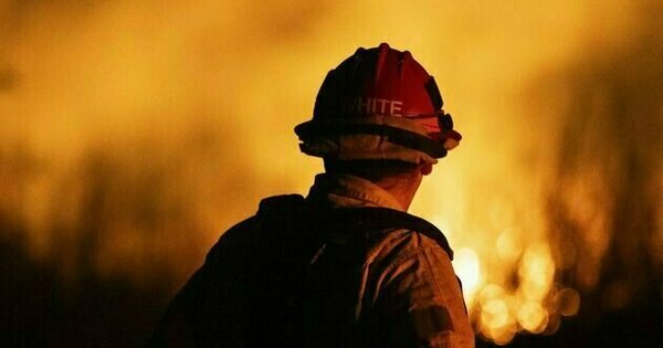 Acute stress and early signs of PTSD are common in firefighters and ...
