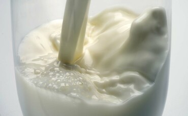 Boost for dairy as scientists link plant-based milk with mental health ...