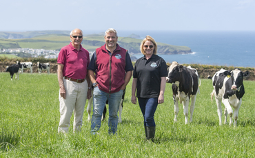 Managing 800 cows on Cornish grass: How the Pennington family run a two ...