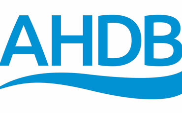 AHDB recommends levy increase to Ministers | Farm News | Farmers Guardian