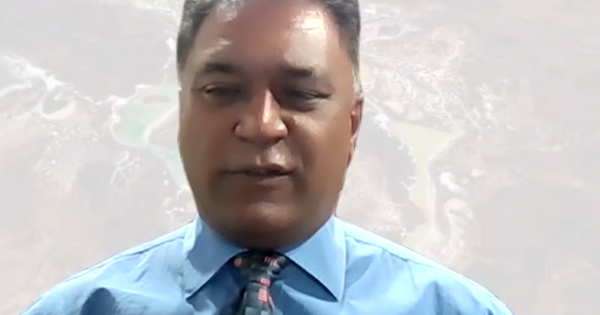 Tiger Tasman preparing to pounce