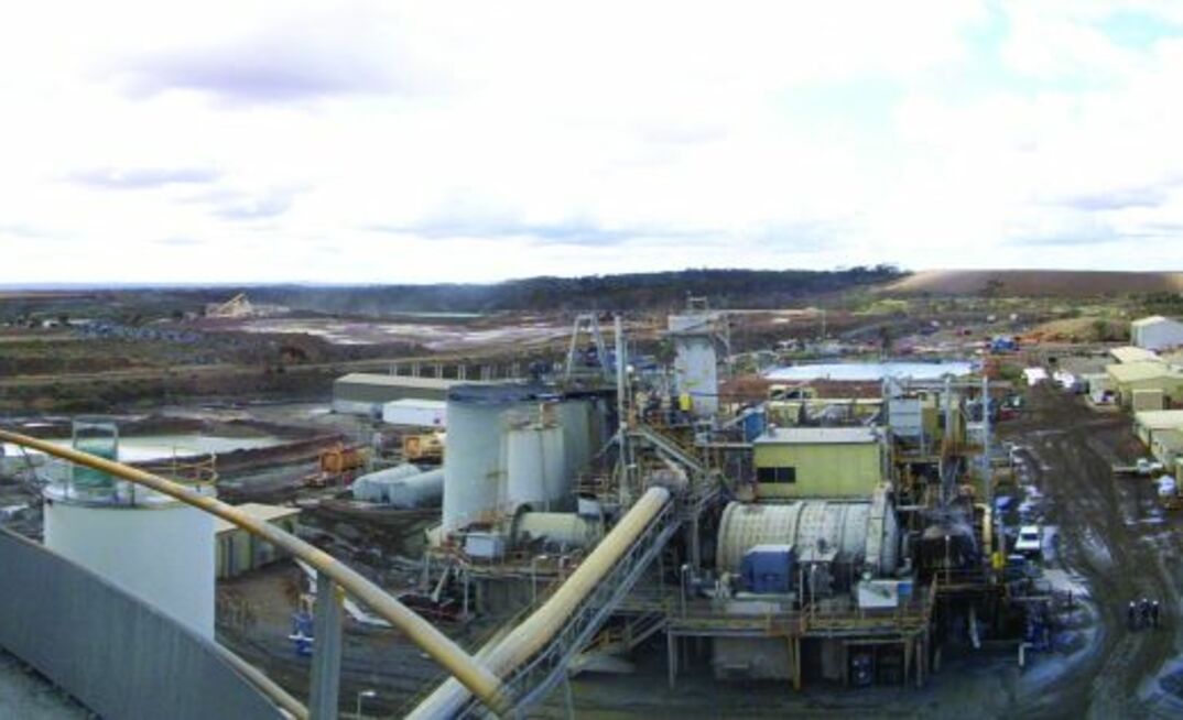 Brilliant results for Focus