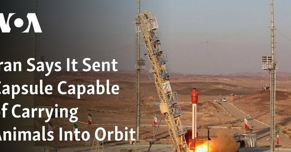 Iran Says It Sent Capsule Capable of Carrying Animals Into Orbit