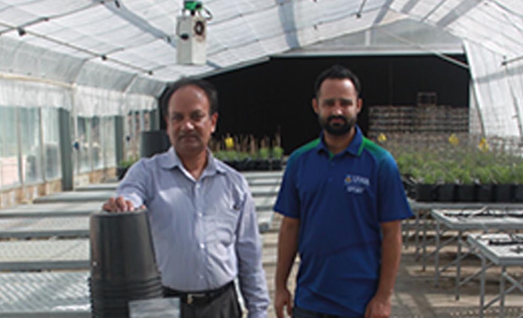 UWA to put potash to the test