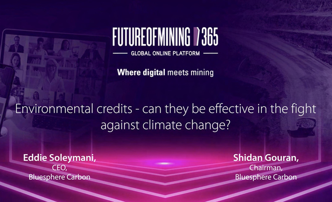 Environmental credits-can they be effective in the fight against ...