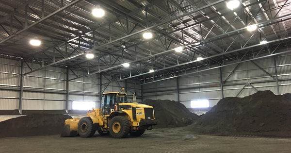 IGO generating strong cash