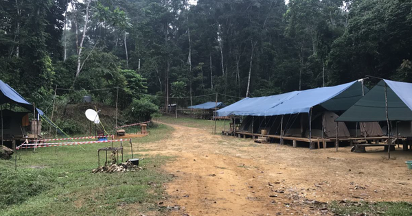 High grade gold play somehow ignored by everyone else exciting ...