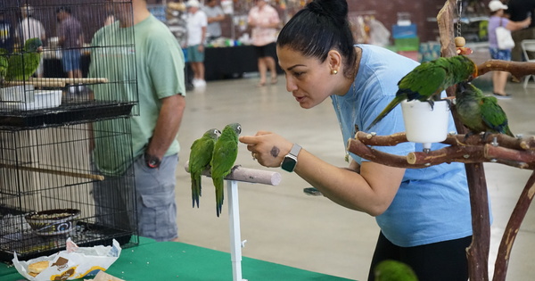 U.S.-CALIFORNIA-POMONA-EXOTIC BIRD MART & EXPO