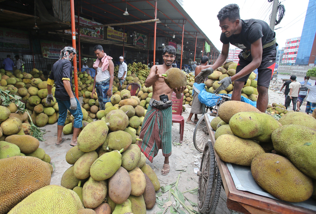 BANGLADESH-DHAKA-FRUITS-HARVEST-SEASON