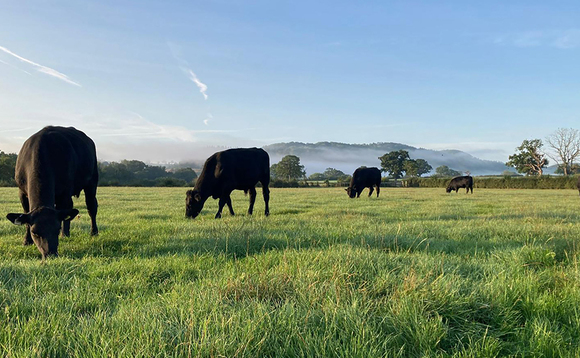 Working towards net zero | Farm News | Farmers Guardian