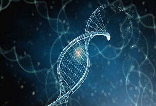 Large-scale DNA study reveals genetic links to height