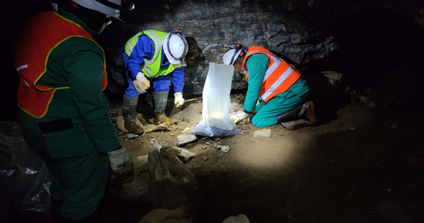 Theta Gold delivers maiden reserves