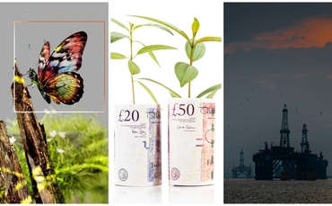 Progress on nature-related reporting, Labour's green investment plans ...