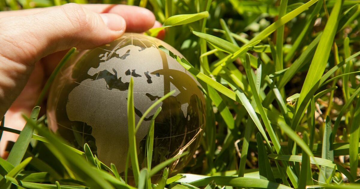 FCA group to develop code of conduct for ESG data and ratings providers