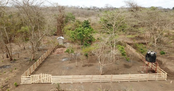 Evolution finalises Chilalo framework