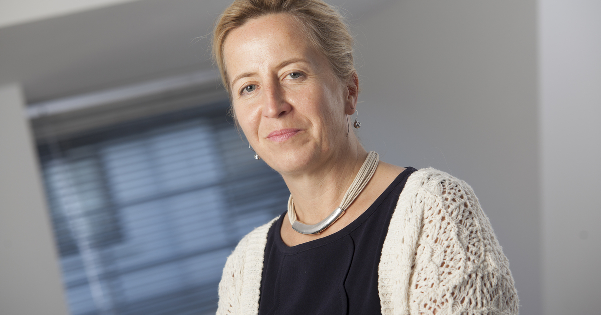 Maven Renovar VCT to pursue ‘AIM Plus’ strategy once again at 2026 AGM