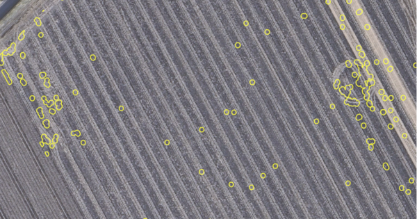 Weed detection revolutionised using satellite imagery