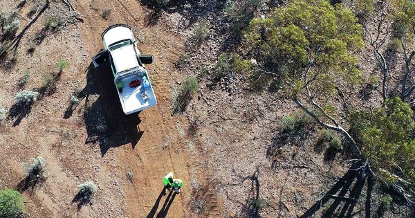 Mt Monger confirms East Laverton REE clays