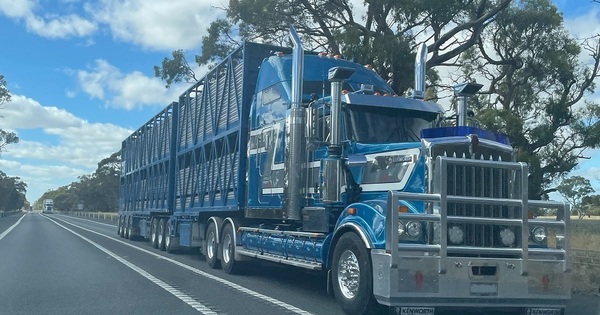 New hub a valuable resource for transporting stock