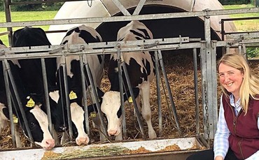 Successful heifer rearing relies on rumen development | Farm News ...