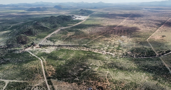 Osino gets superior proposal from mystery bidder