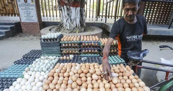 Egg-citing News: Bangladesh to import 110 million eggs for stabilizing ...