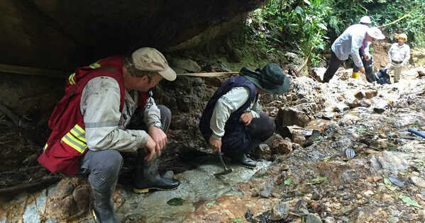 SolGold grows with project