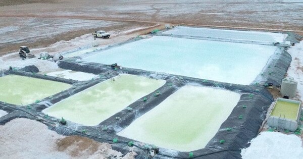 Agrimin learns more about leonite