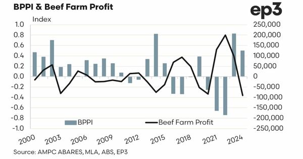 Swing low beef chariot