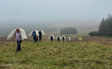 Locally sourced 'wool logs' help peatland restoration in Antrim hills ...