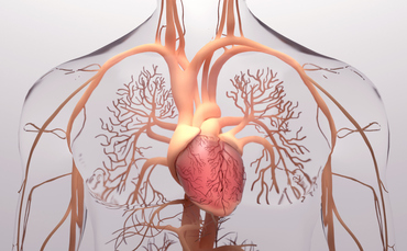 Spotlight: Pulmonary Hypertension and Cor Pulmonale