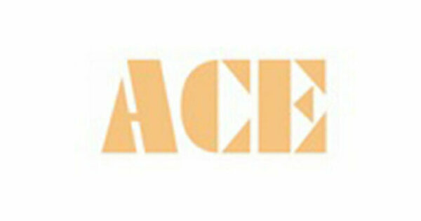 ACE Posts Robust Q3 FY25 - Total Income Up by 16.6 Percent YoY with ...