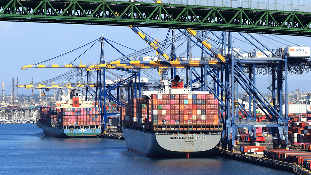 Half-year timber import figures show deficit continues to decrease